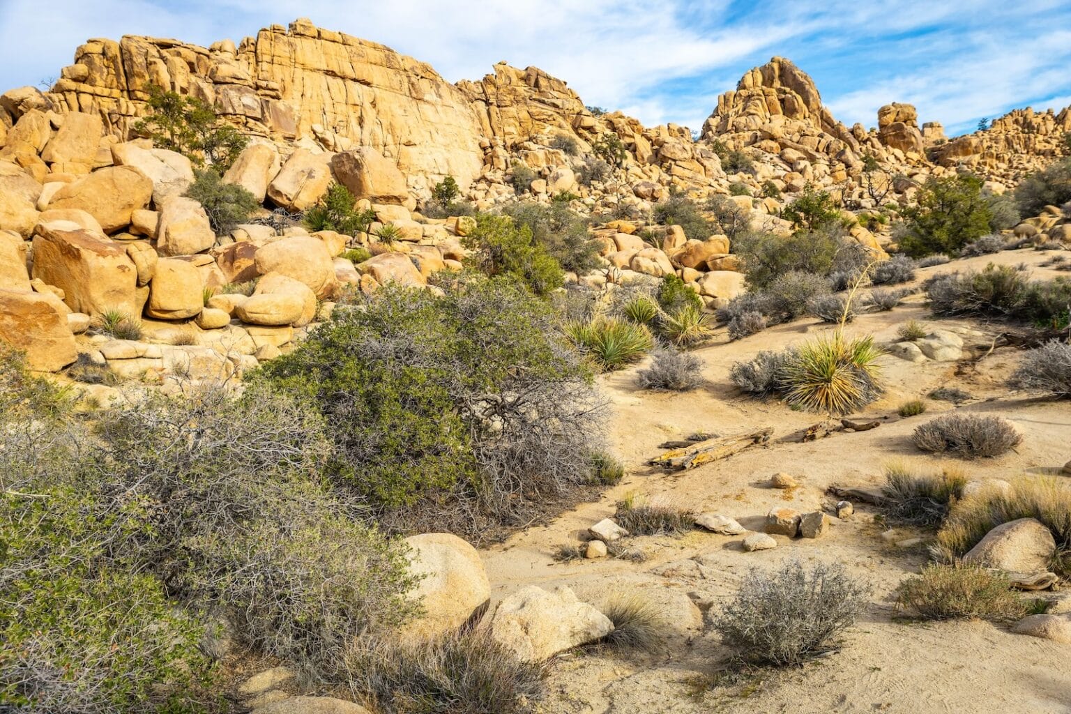 10 Best Hikes in Joshua Tree National Park
